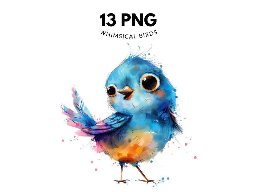 Whimsical Bird Clipart Set: 13 PNG Files, Cute Watercolor Birds ...