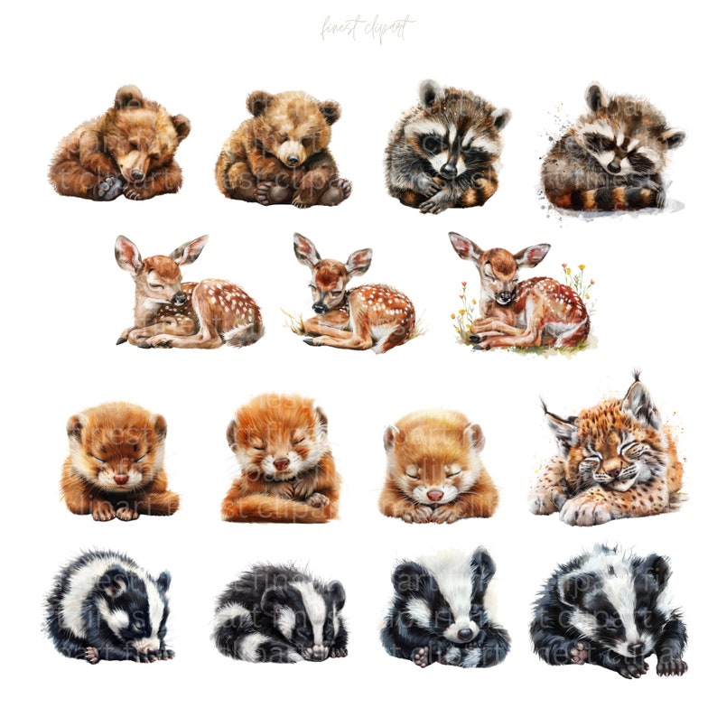 Woodland Mega Bundle: 103 Cute and Sleepy Baby Animals, Trees, and ...
