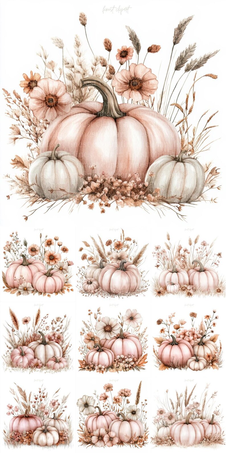 12 Blush Pink Pumpkin Watercolor Clipart, Floral JPG, White Background ...
