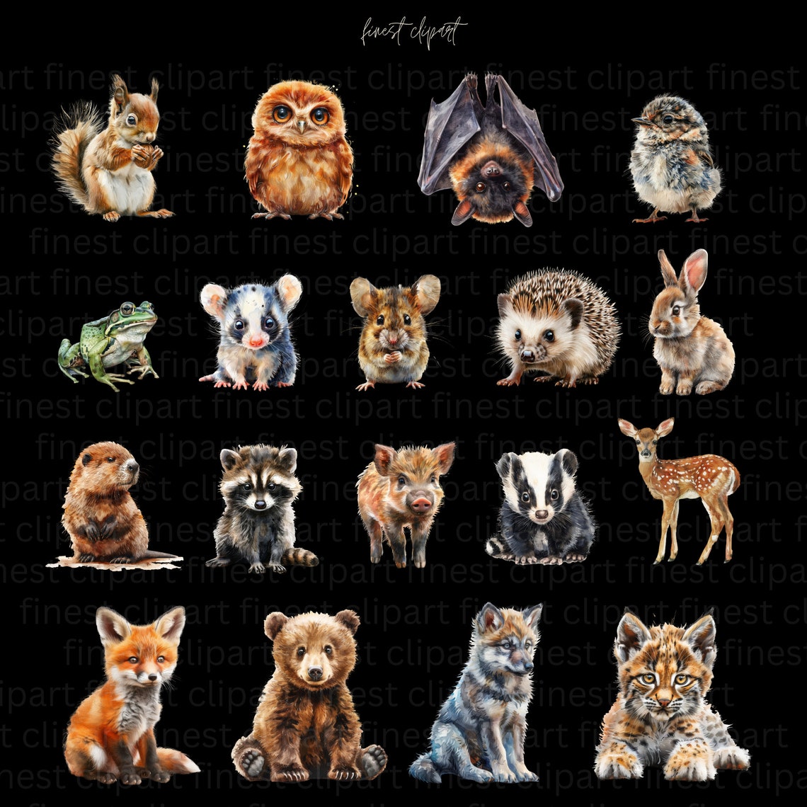 Woodland Baby Animal Clipart Set: 18 PNG Files, Naturalistic Watercolor ...