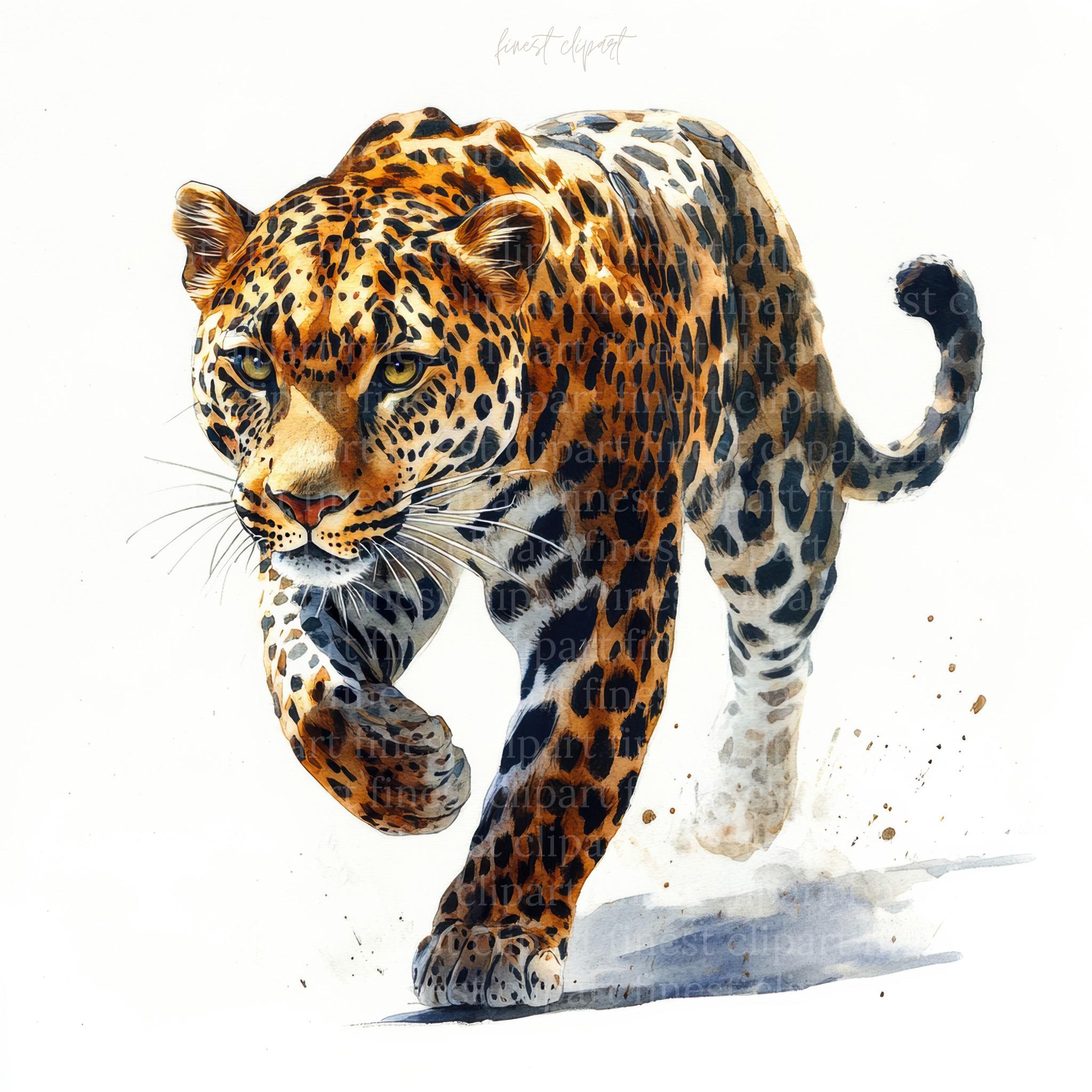 10 Running Leopard Clipart JPG Watercolor Images on White Background ...