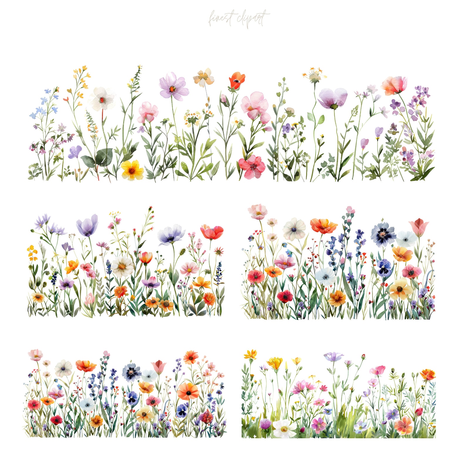 31 Wildflower Border Clipart PNG Set Colorful Floral Wreaths and ...