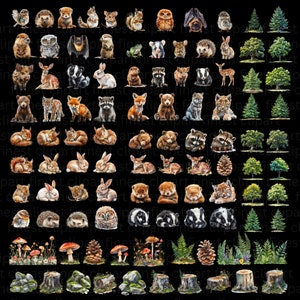 Woodland Mega Bundle: 103 Cute and Sleepy Baby Animals, Trees, and ...