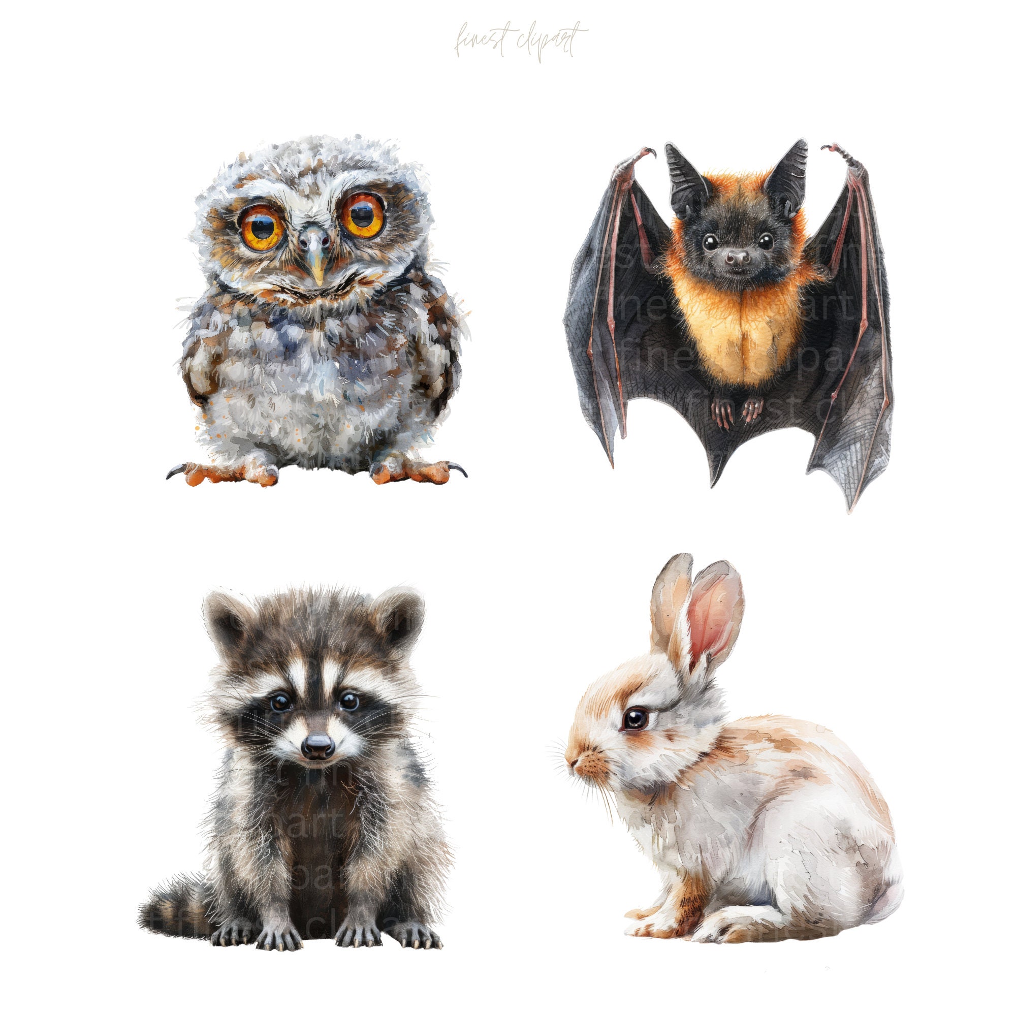 Woodland Baby Animal Clipart Set: 17 PNG Files, Naturalistic Watercolor ...