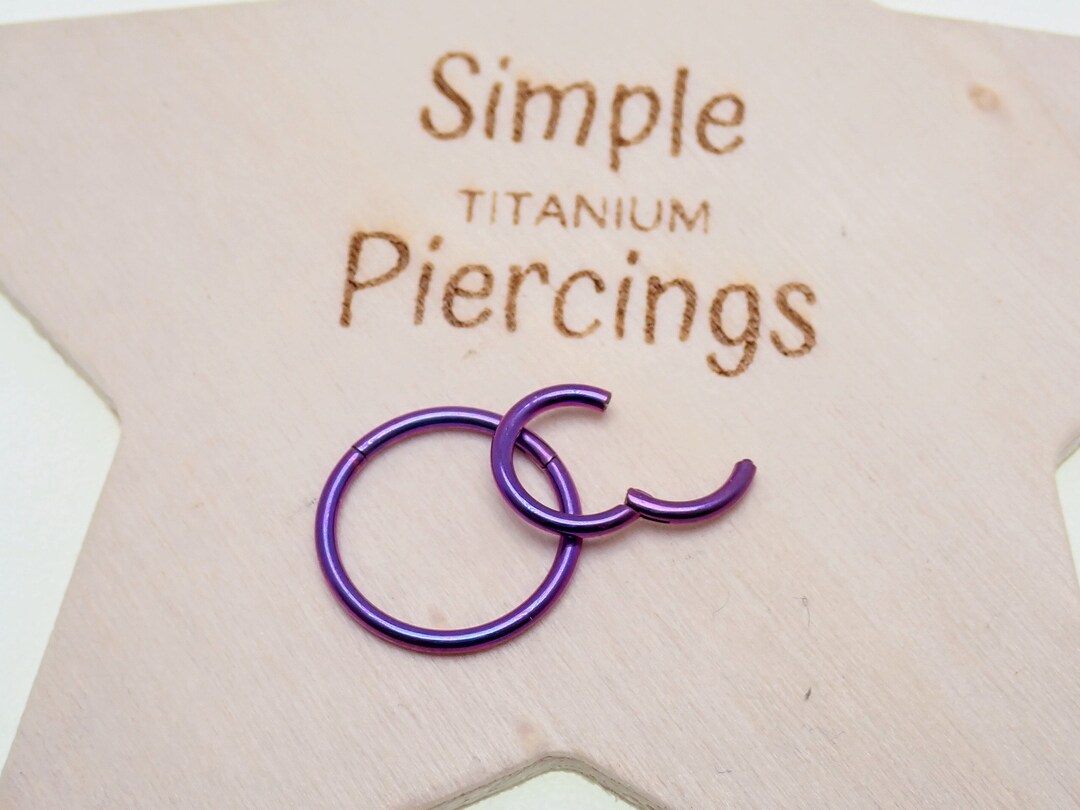 Vibrant Purple Hoop Segment Piercing Implant Titanium 18g, 16g, 14g ...