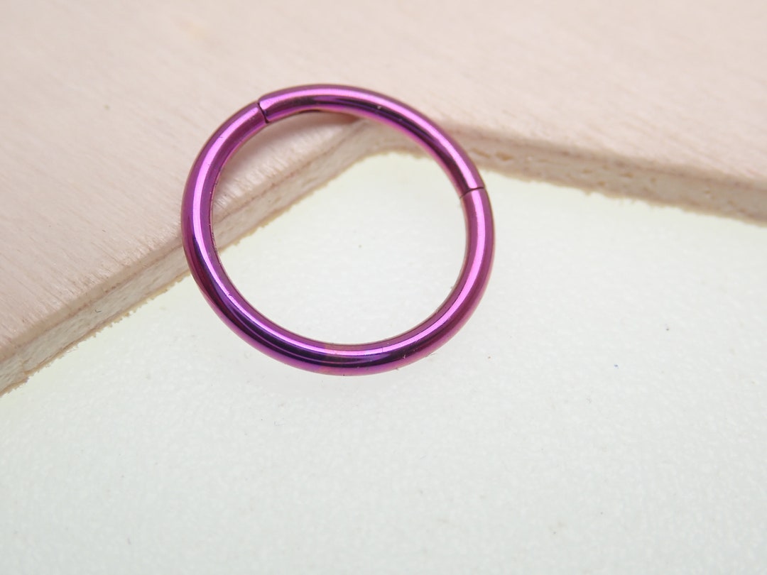 Fuchsia Hoop Segment Piercing Implant Titanium 20g, 18g, 16g, 14g ...