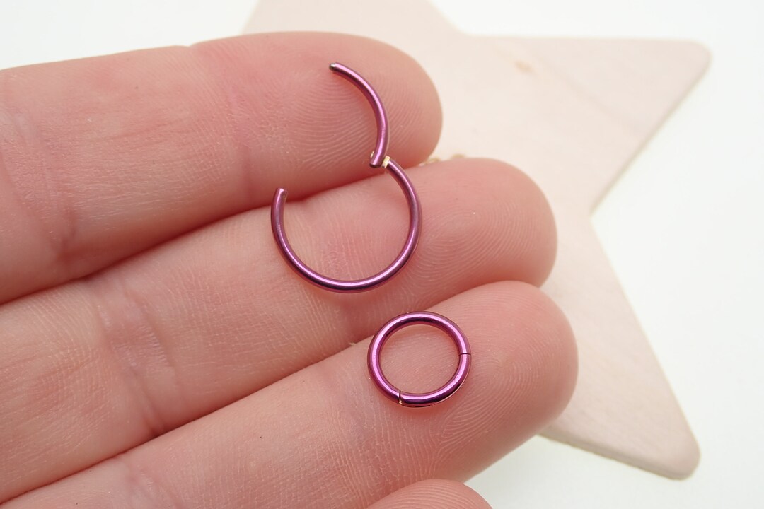 Hoop Segment Piercing Implant Titanium 18g, 16g, 14g ,hinged Segment ...