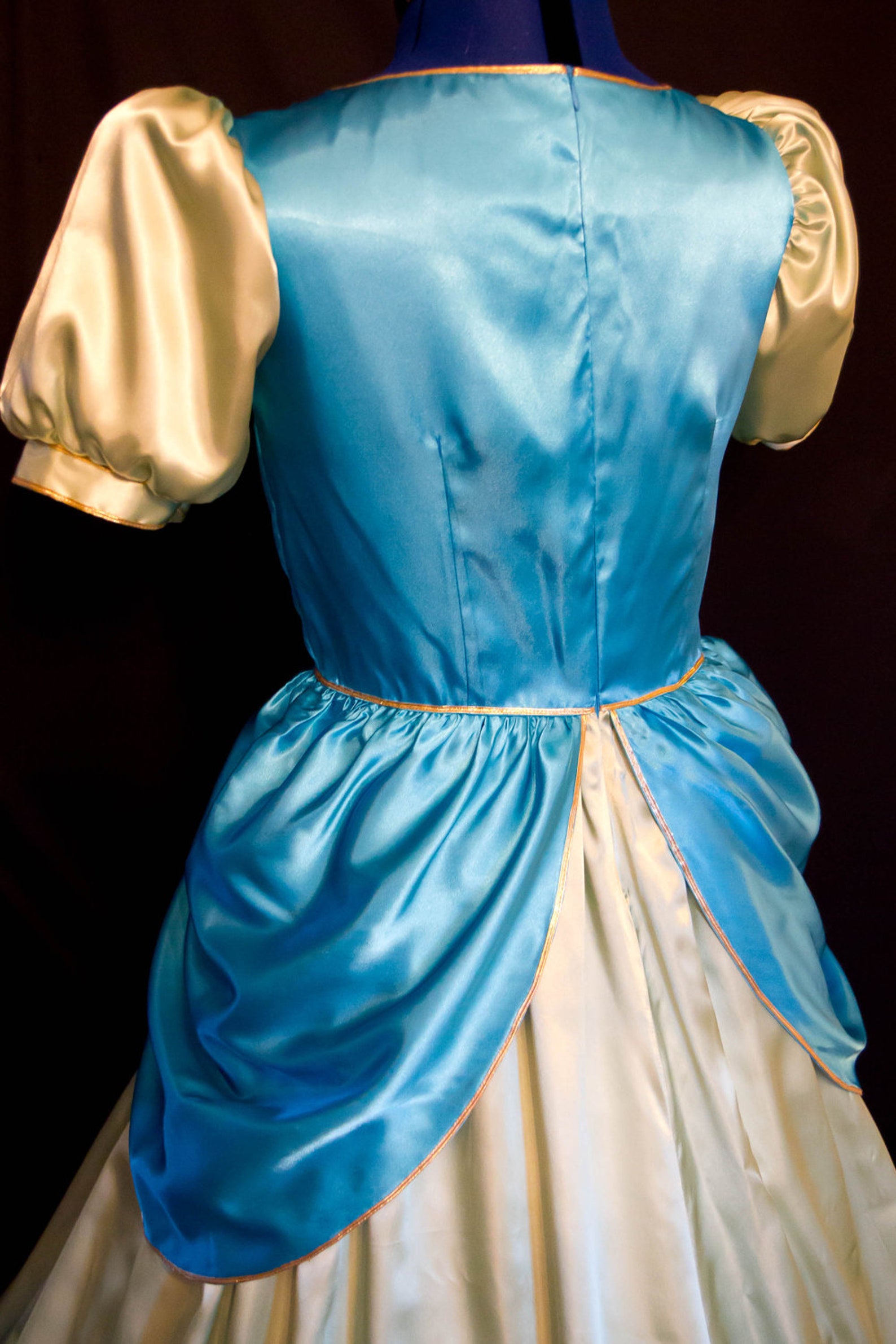 Drizella Cinderellas Stepsister Adult Costume Gown Custom Etsy