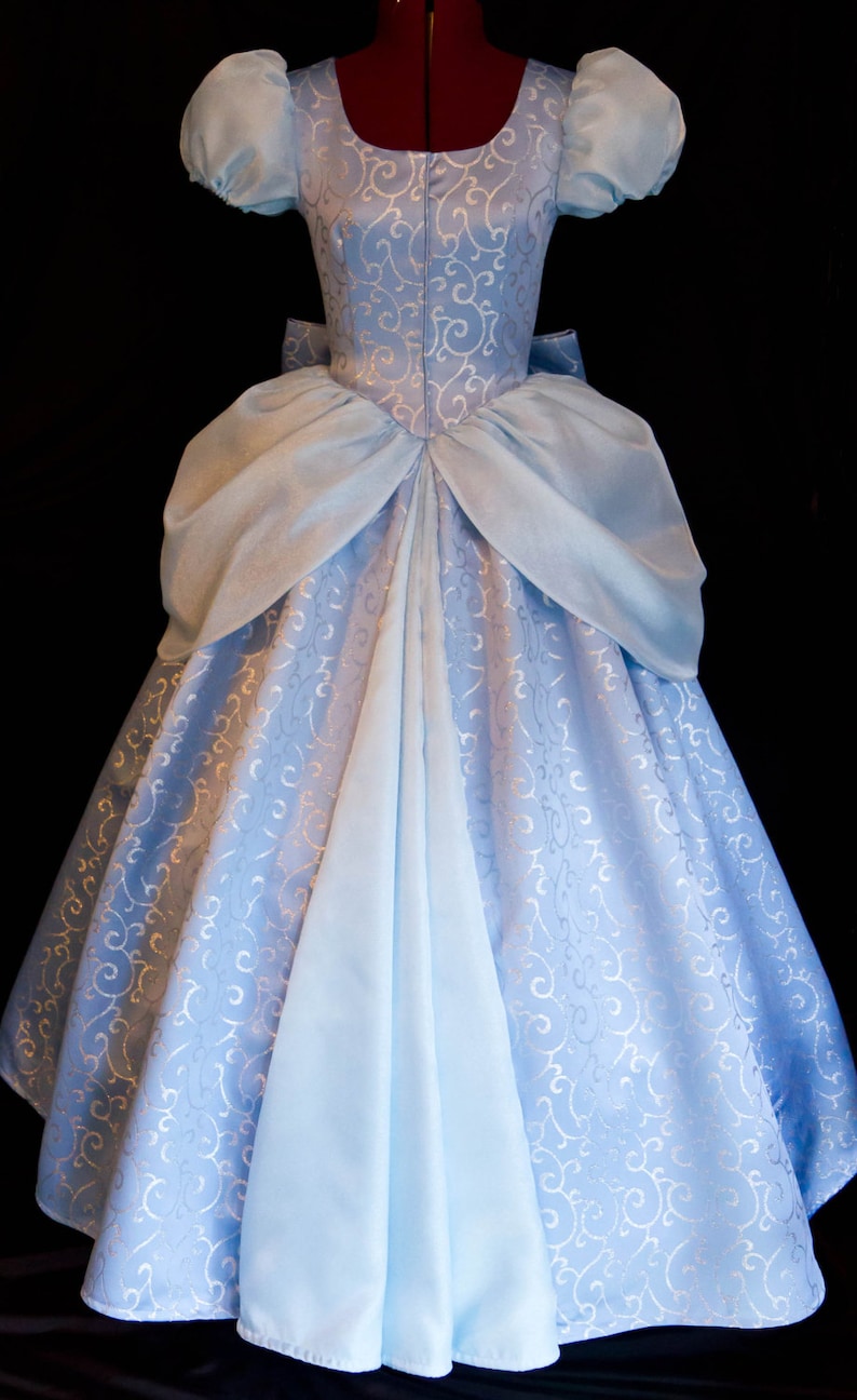 Cinderella Gown Costume Deluxe Adult Version New Fabric Custom Etsy