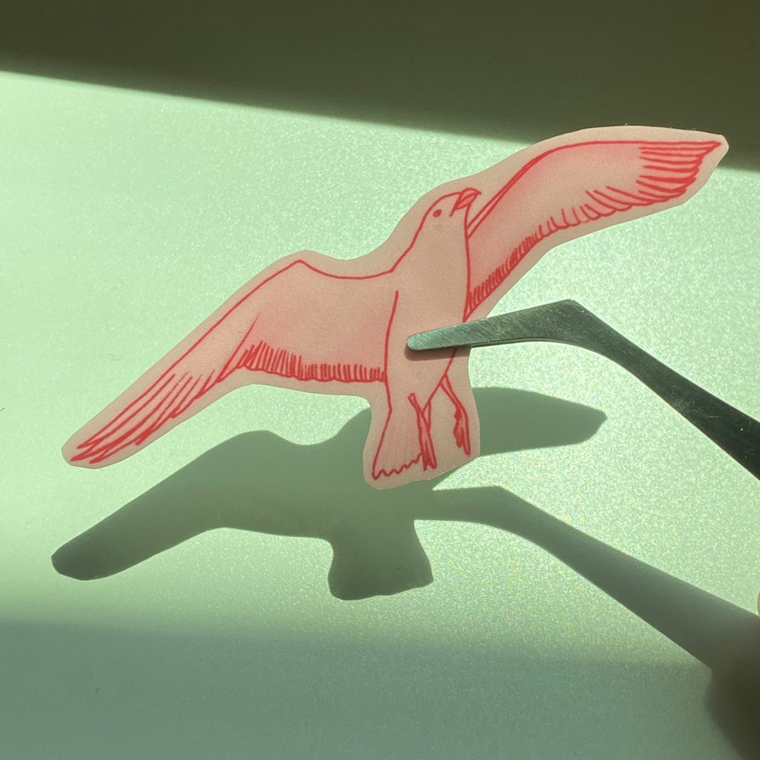 Seagull - Vinyl Stickers | Small Waterproof Animal Stickers for Water ...