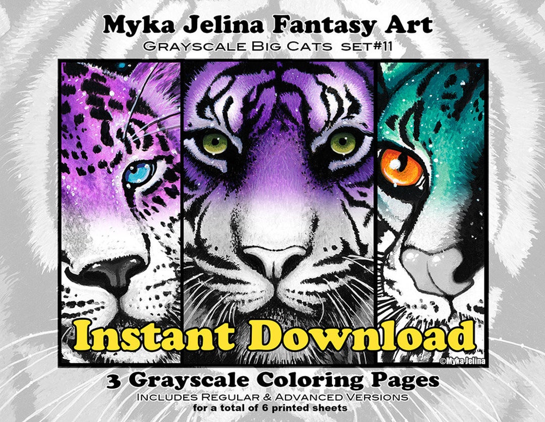 Grayscale Set 11 - Big Cats - Printable Coloring Book - Myka Jelina Art ...