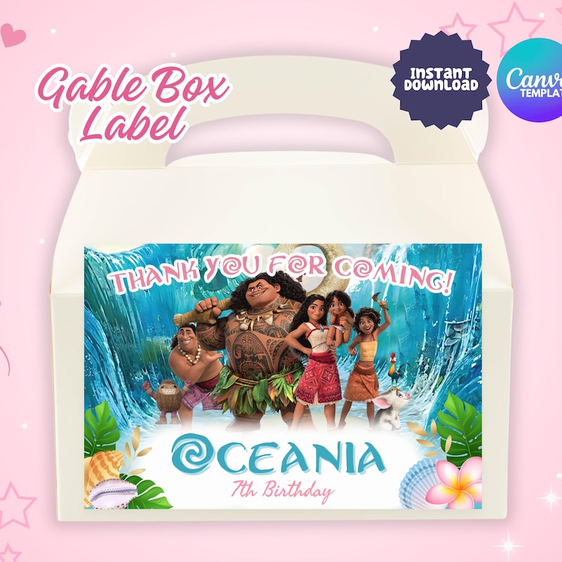 Moana Birthday Party Boxes - Etsy