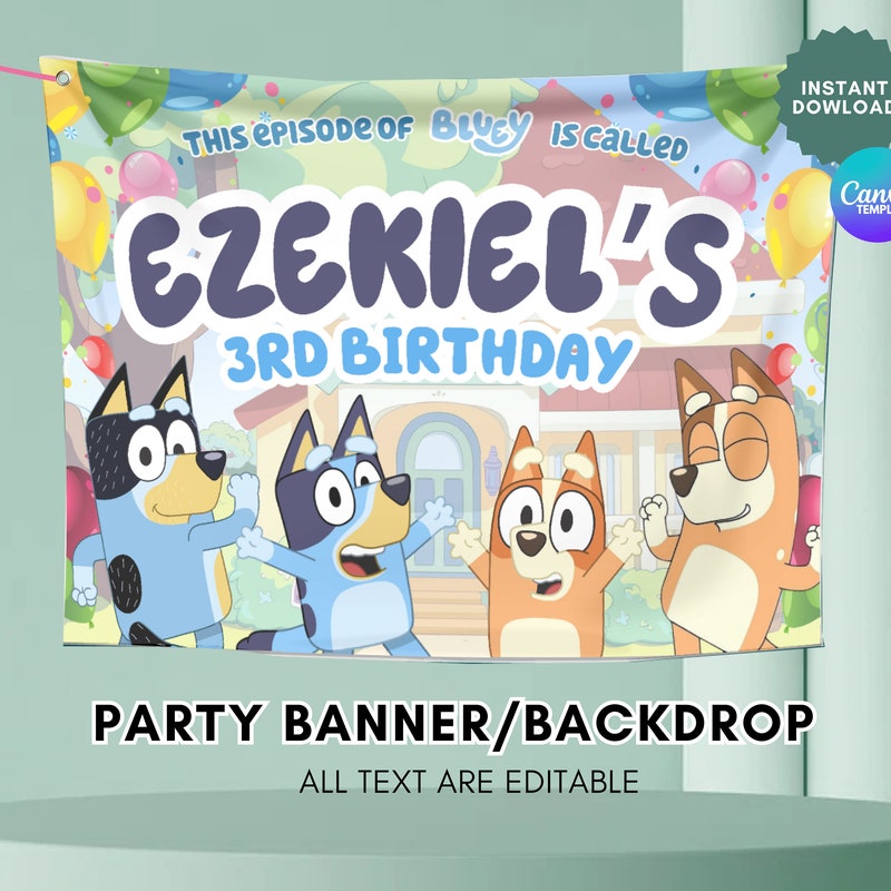 Bluey Backdrop - Etsy