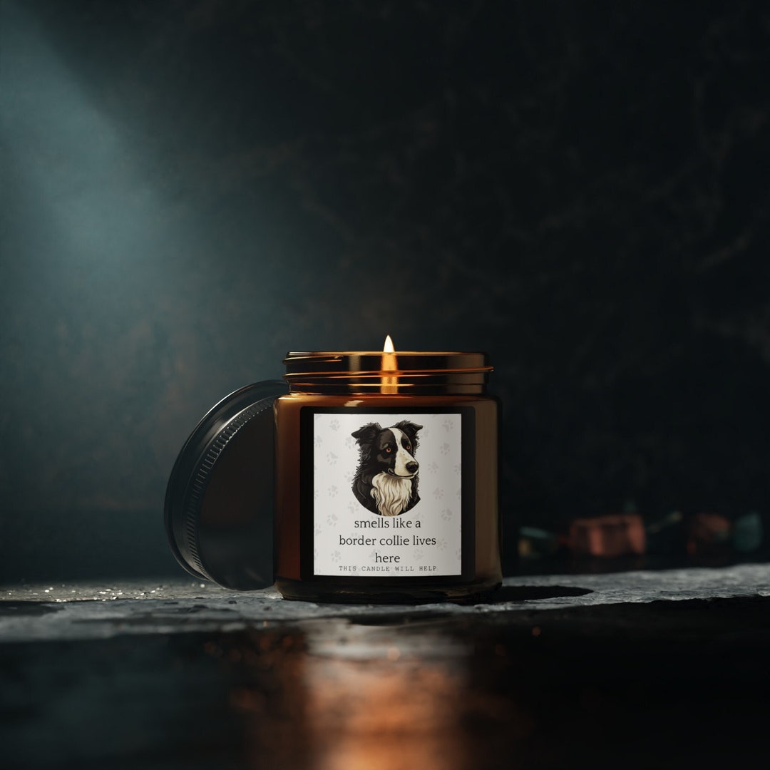 Smells Like A Border Collie Lives Here Soy Candle (2 Sizes, Amber Jar ...