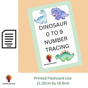 Dinosaur Number Tracing & Counting Flashcards: Fun Dinosaur Learning ...