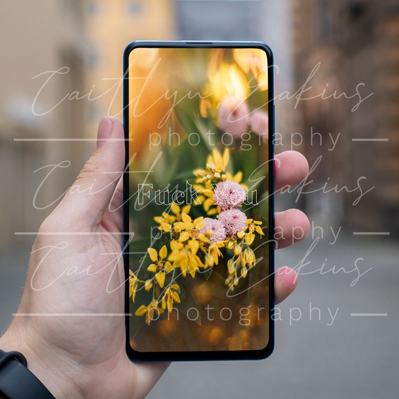 Vulgar Phone Background Wallpaper With Flower Photo iPhone Screensaver ...