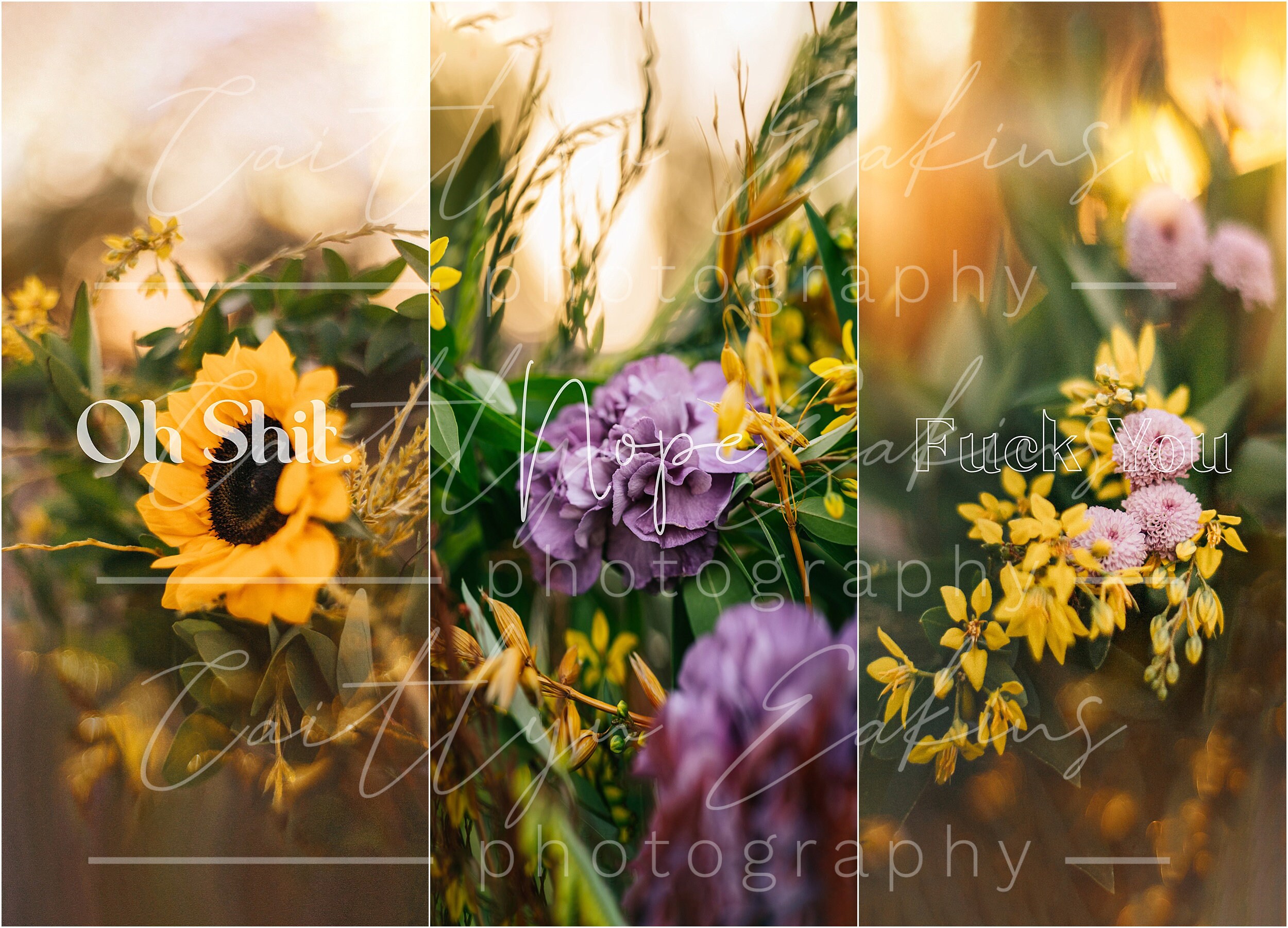 Vulgar Phone Background Wallpaper With Flower Photo iPhone Screensaver ...