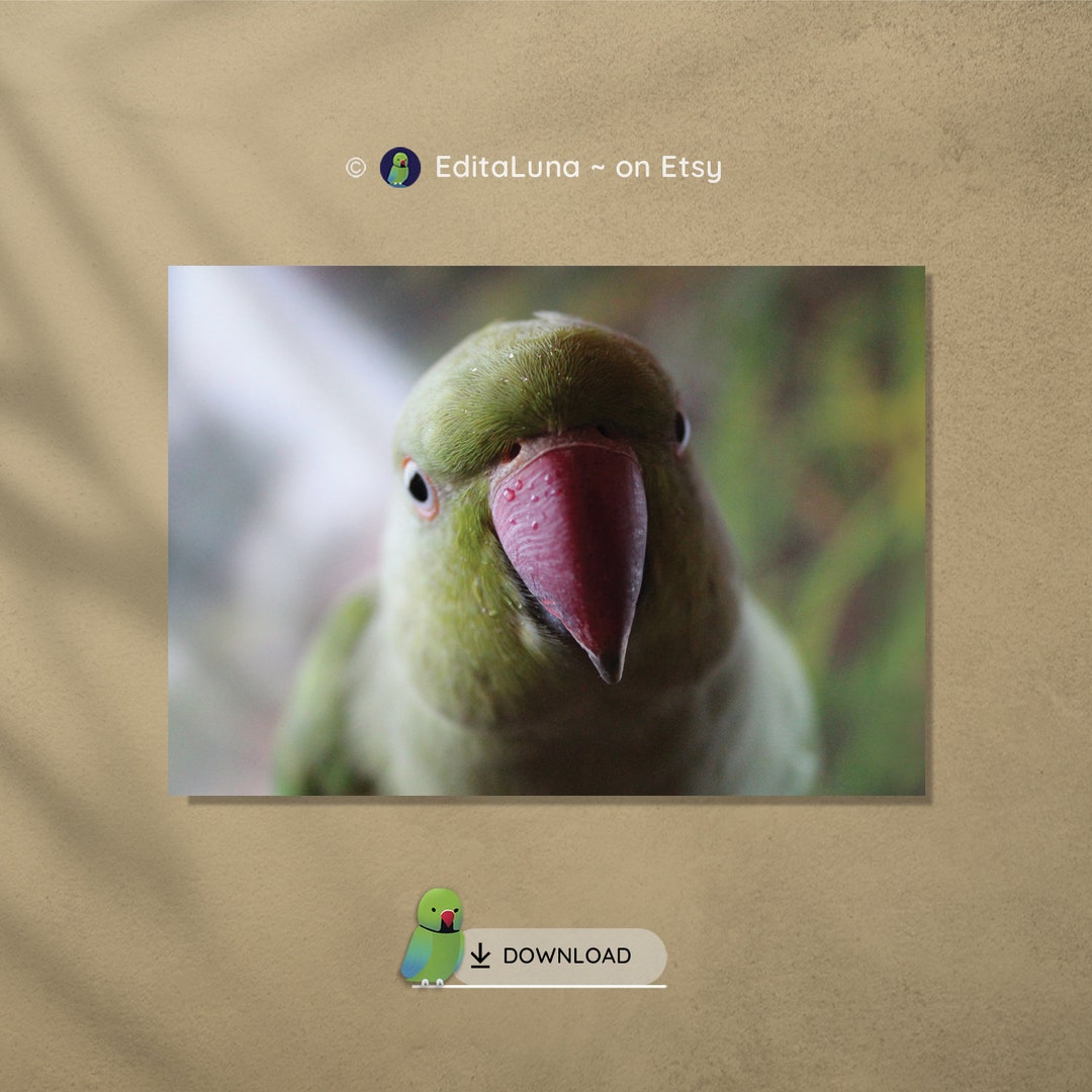 WATER PARROT Digital Instant Download High-resolution Wildlife Nature ...
