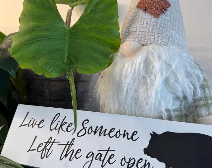 3 Stingray Alocasia Corms Great Stocking Stuffer for Any Plant Mama or ...