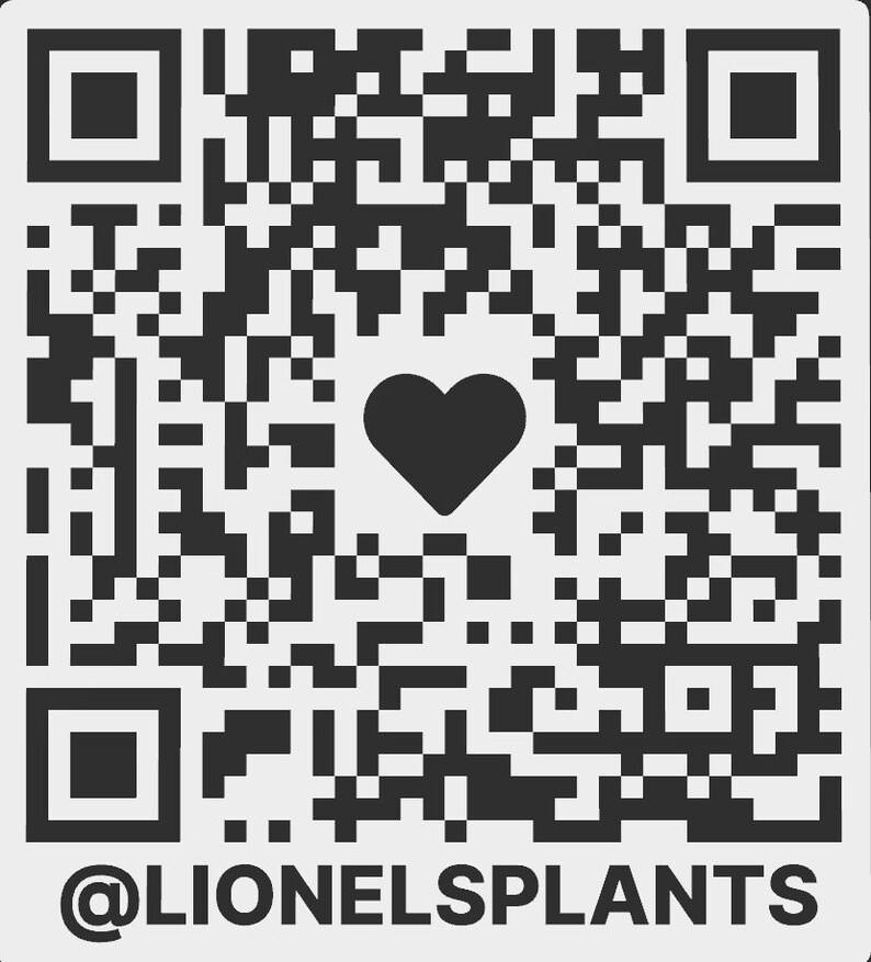 Custom QR Codes - Etsy