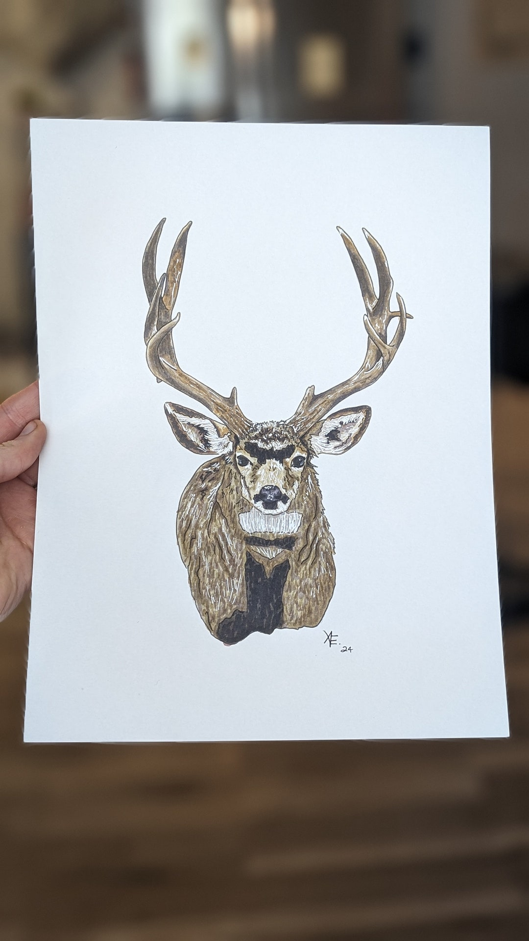 Mule Deer Art Print - Drawing - Alcohol Markers - Wildlife - Mule Deer ...