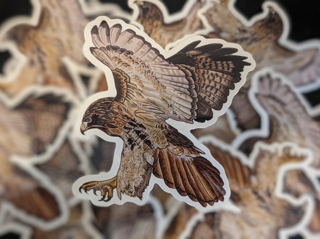 Redtail Hawk Dye Cut Vinyl Sticker - Wildlife - Redtail Hawk - Animal ...