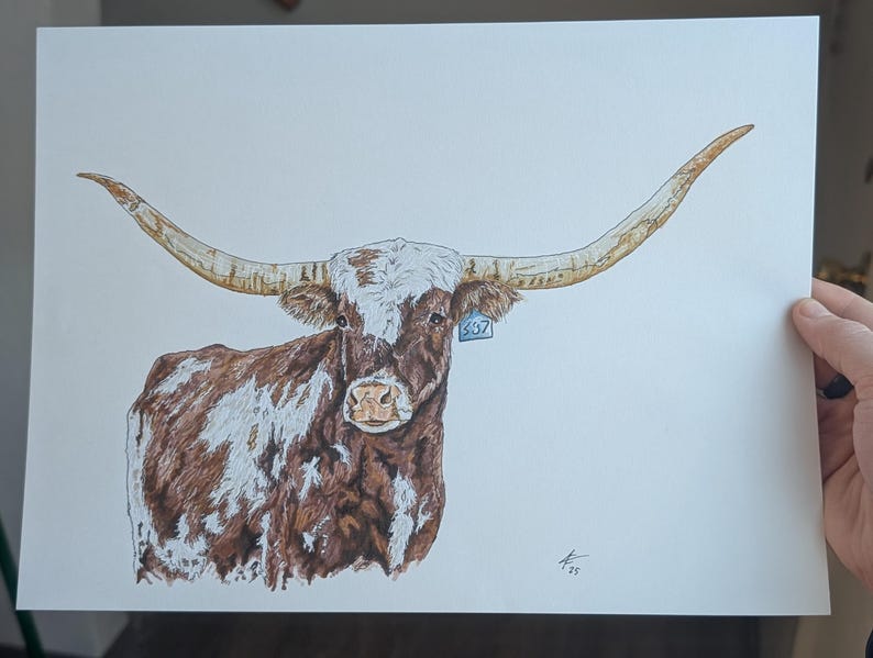 Texas Longhorn Art Print - Drawing - Alcohol Markers - Livestock - Farm ...