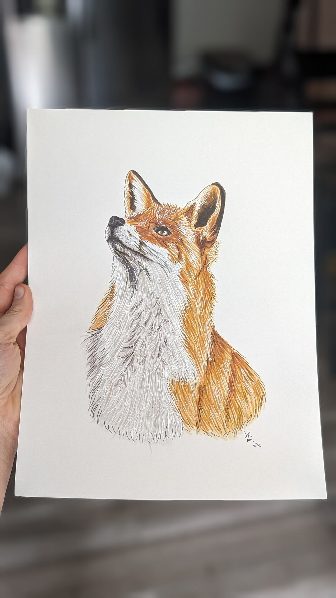 Red Fox ORIGINAL - Drawing - Alcohol Markers - Wildlife - Red Fox ...