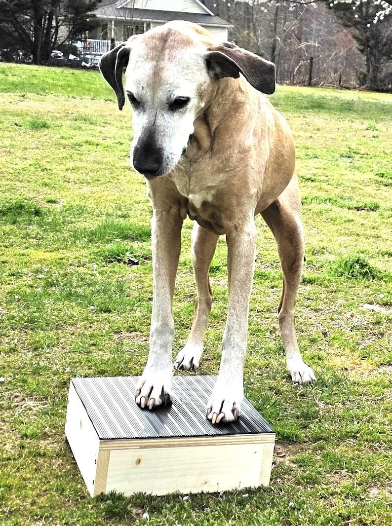Pivot Table for Any Dog Sport, Including K9 IGP, Schutzhund, Working K9 ...