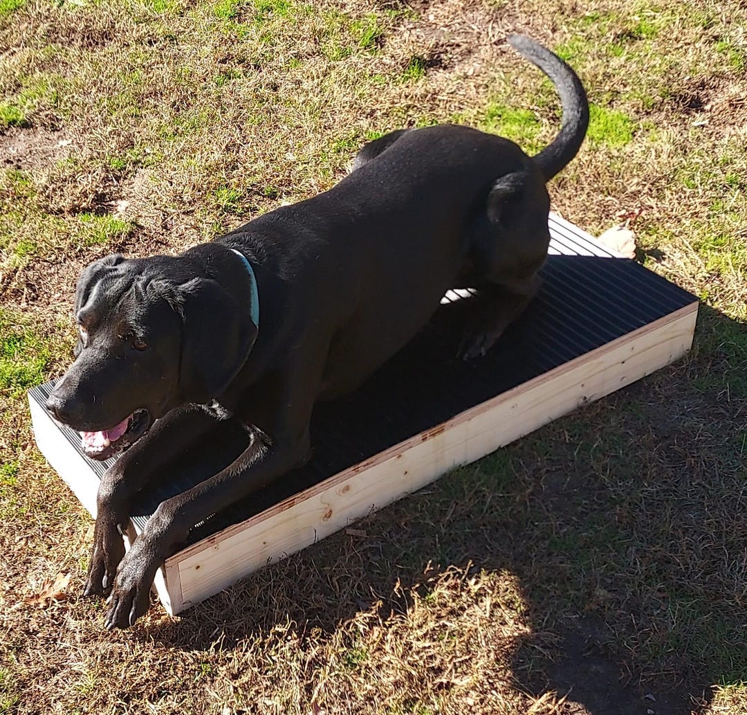 Position Table, Platform for Any Dog Sport, Including Agility, K9 IGP ...