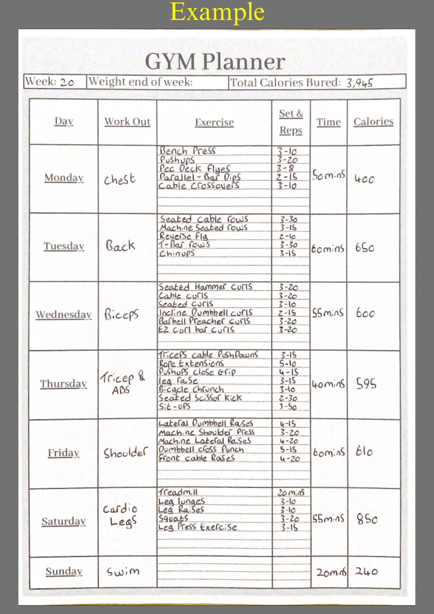Gym Planner A4, Weekly Workout Schedule & Fitness Plan, Daily Exercise ...