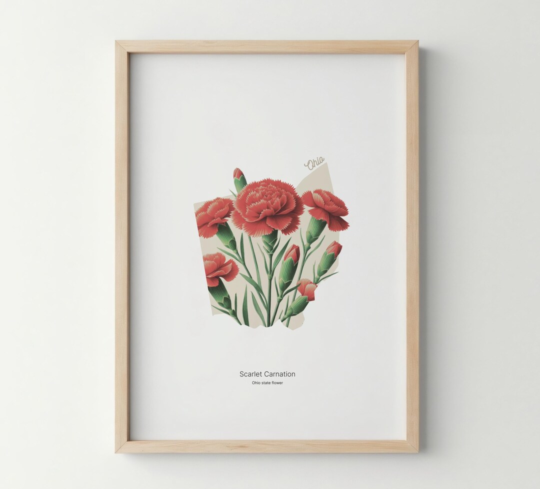 Ohio State Flower Poster Art Print Scarlet Carnation Wall Art Flower ...