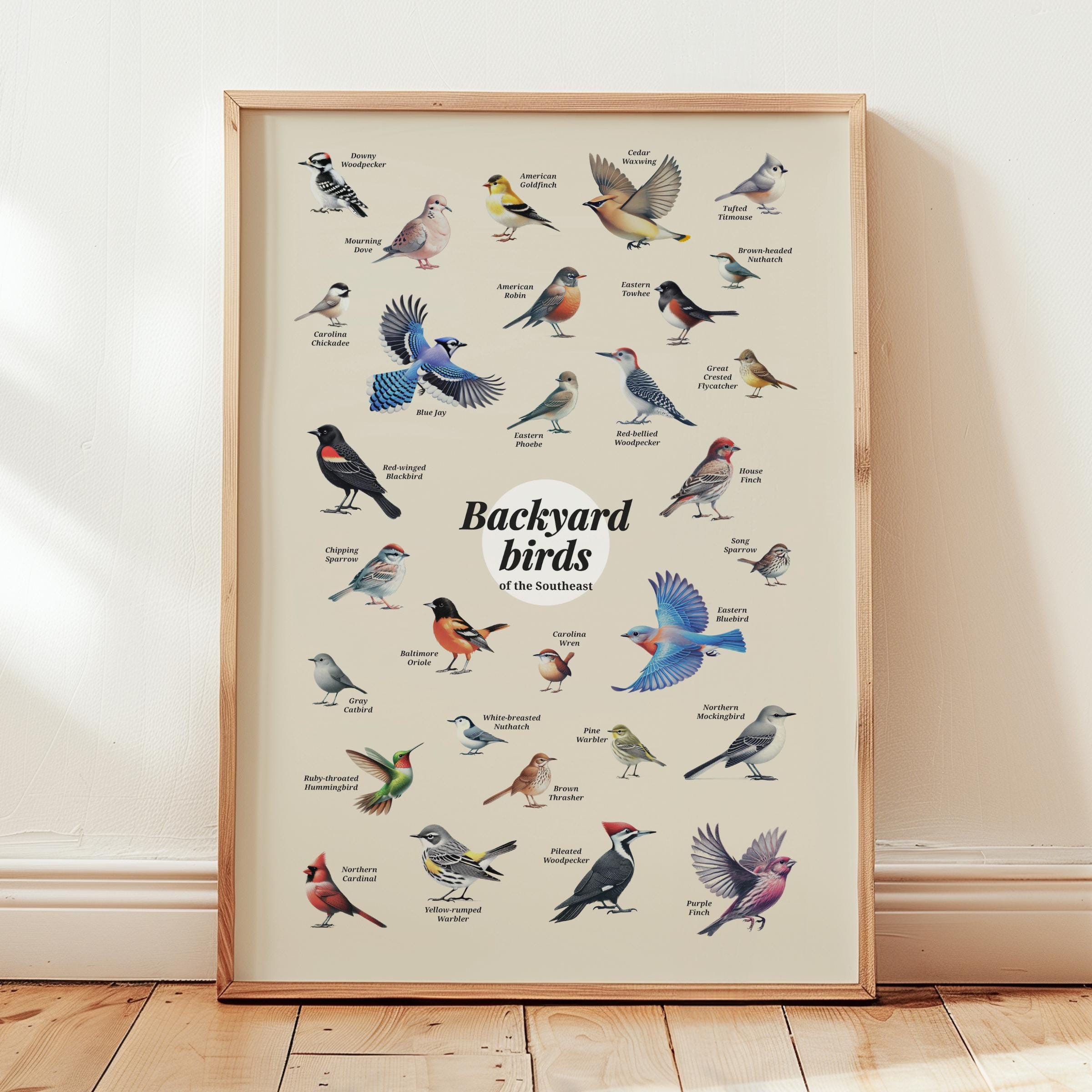 Backyard Birds Southeast Poster Art Print Bird Lover Gift Wall Art ...