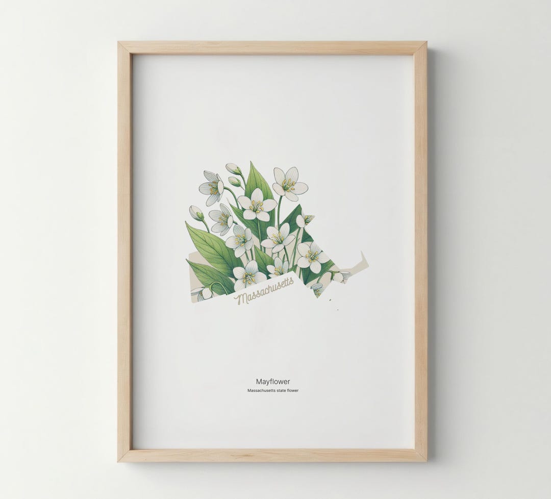 Massachusetts Flower Poster Art Print Mayflower Wall Art Flower Market ...