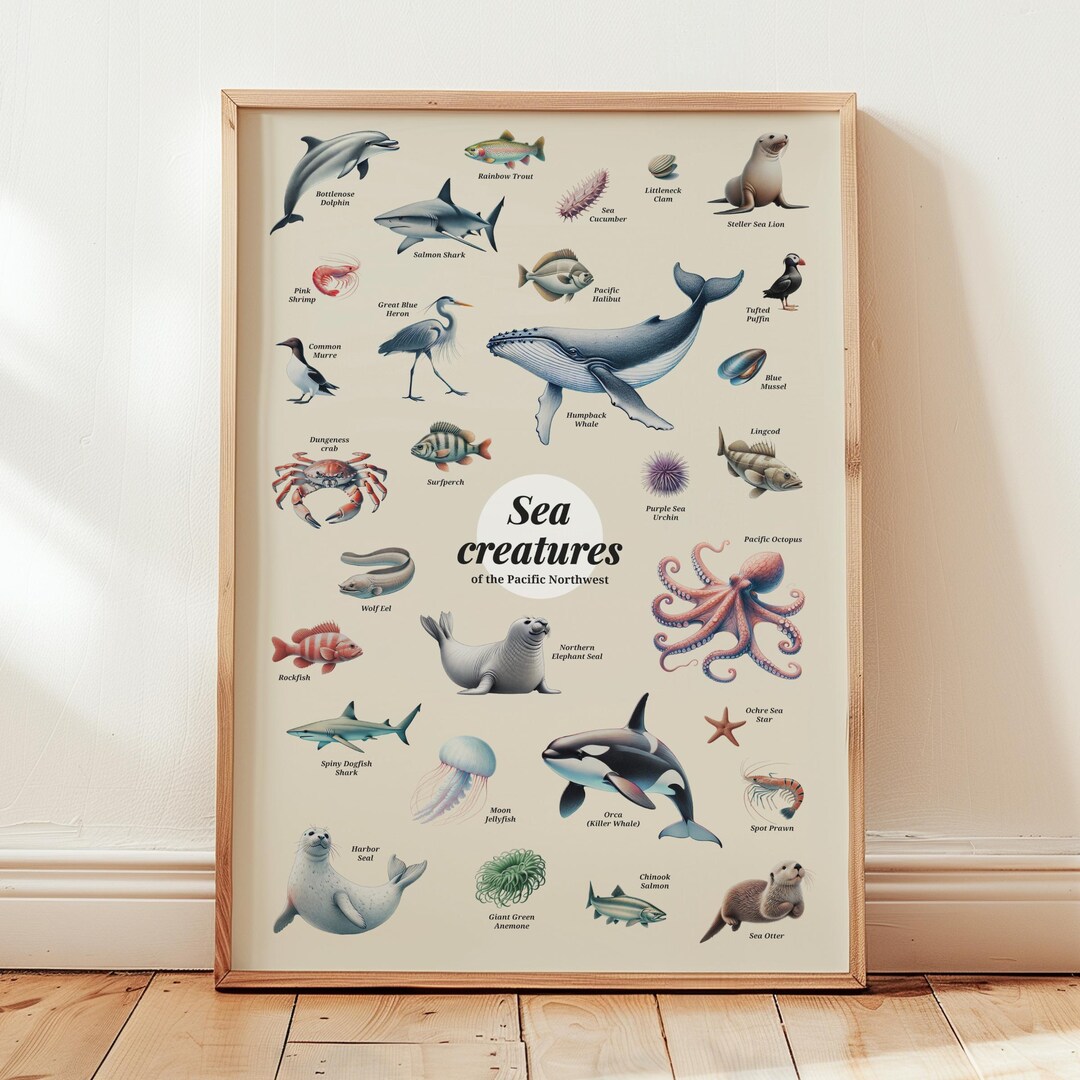 Sea Creatures Pacific Northwest Poster Art Print Toddler Kid Room Decor ...