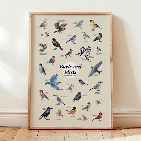 Bird Art Poster - Etsy