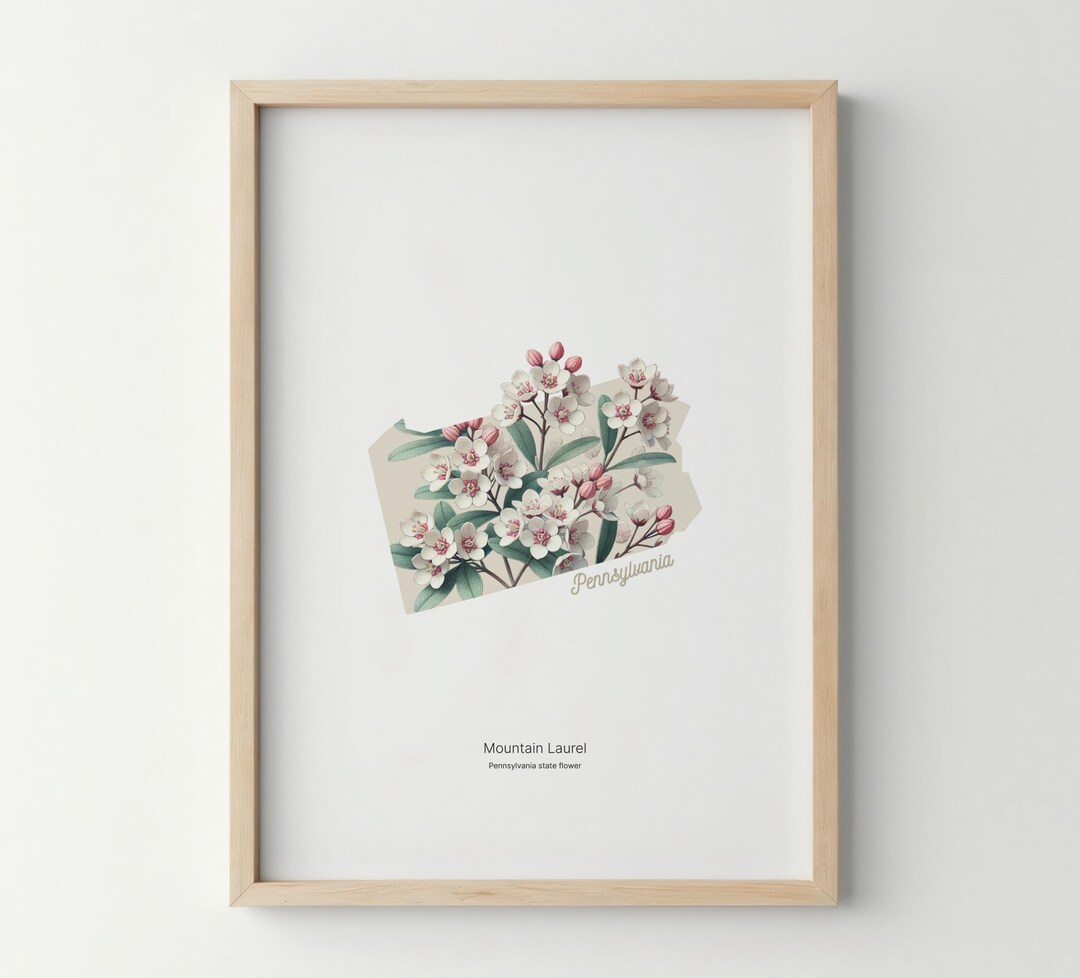 Pennsylvania State Flower Poster Art Print Mountain Laurel Wall Art ...