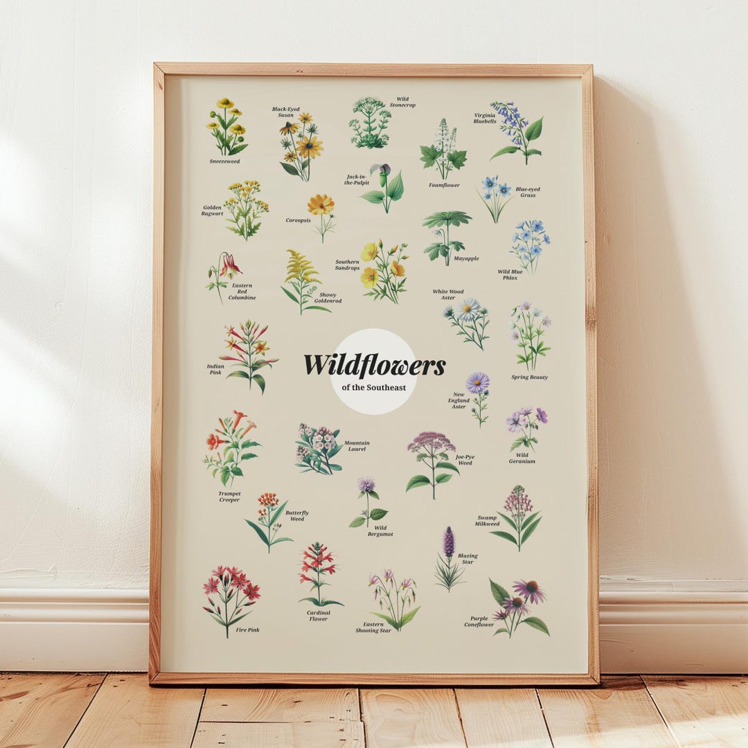 Wildflowers Southeast Poster Art Print Floral Wall Art Home Gift Decor ...