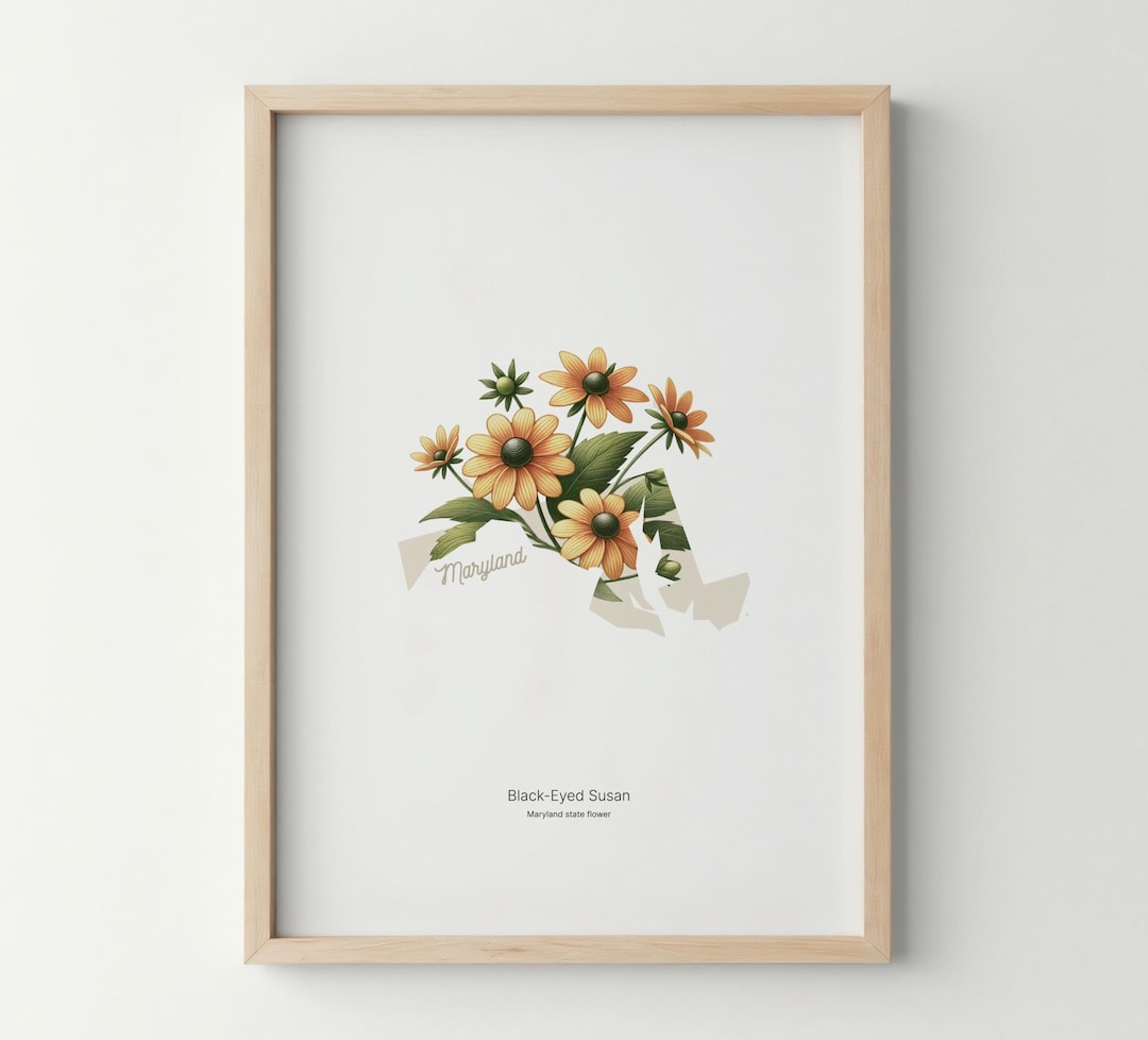 Maryland State Flower Poster Art Print Black-eyed Susan Wall Art Flower ...