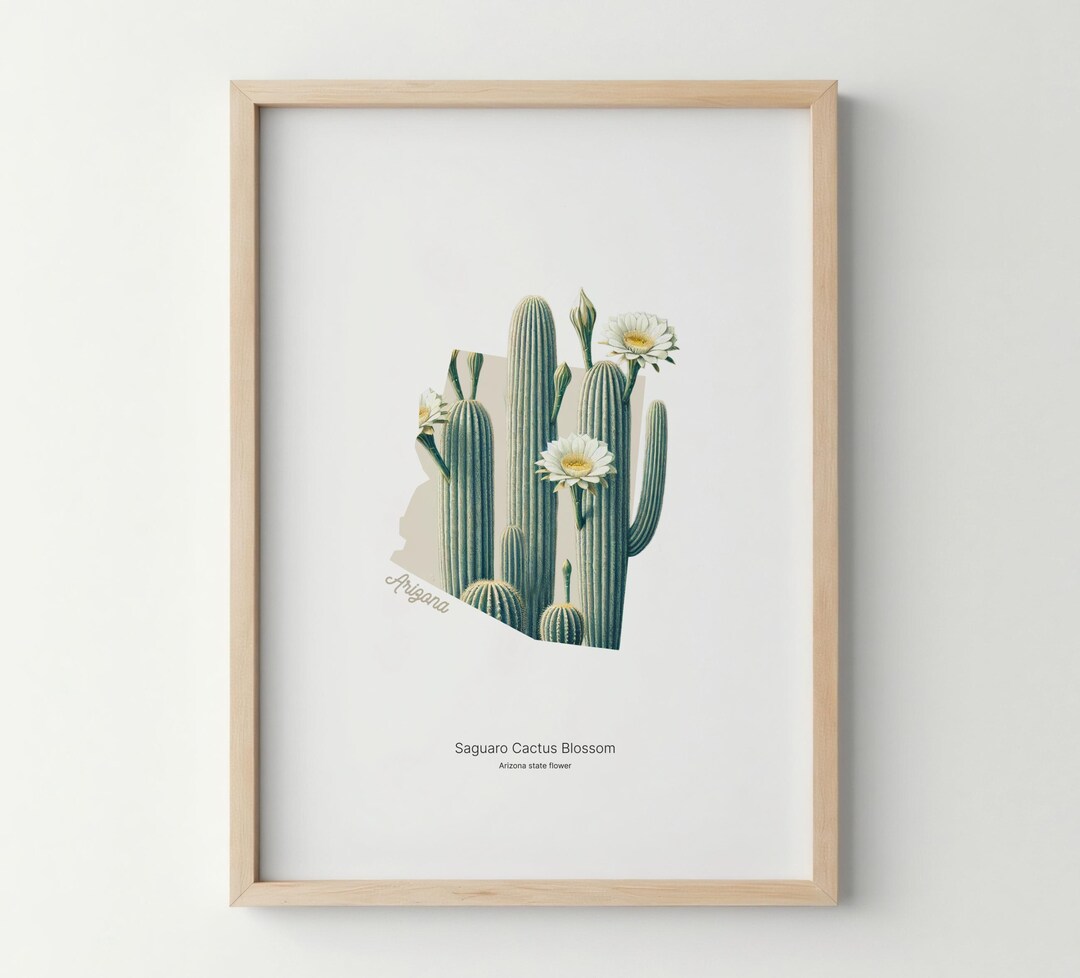 Arizona State Flower Poster Art Print Saguaro Cactus Blossom Wall Art ...