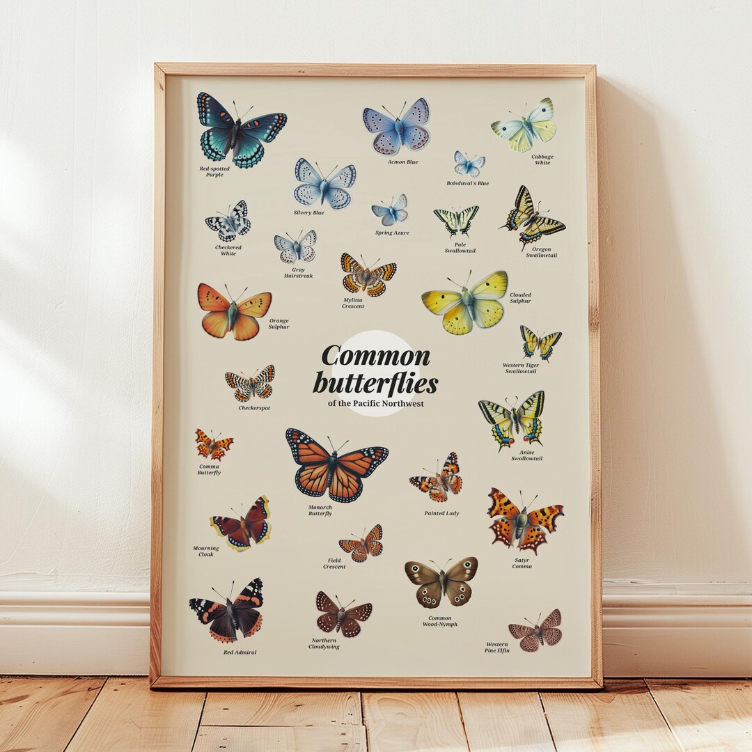 Butterflies Pacific Northwest Poster Art Print Nature Garden Gift Wall ...