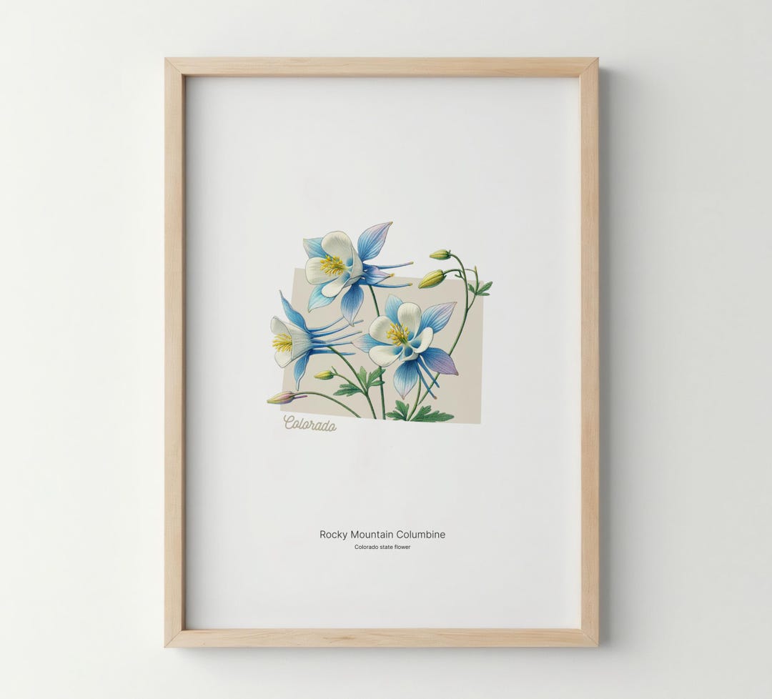Colorado State Flower Poster Art Print Rocky Mountain Columbine Wall ...