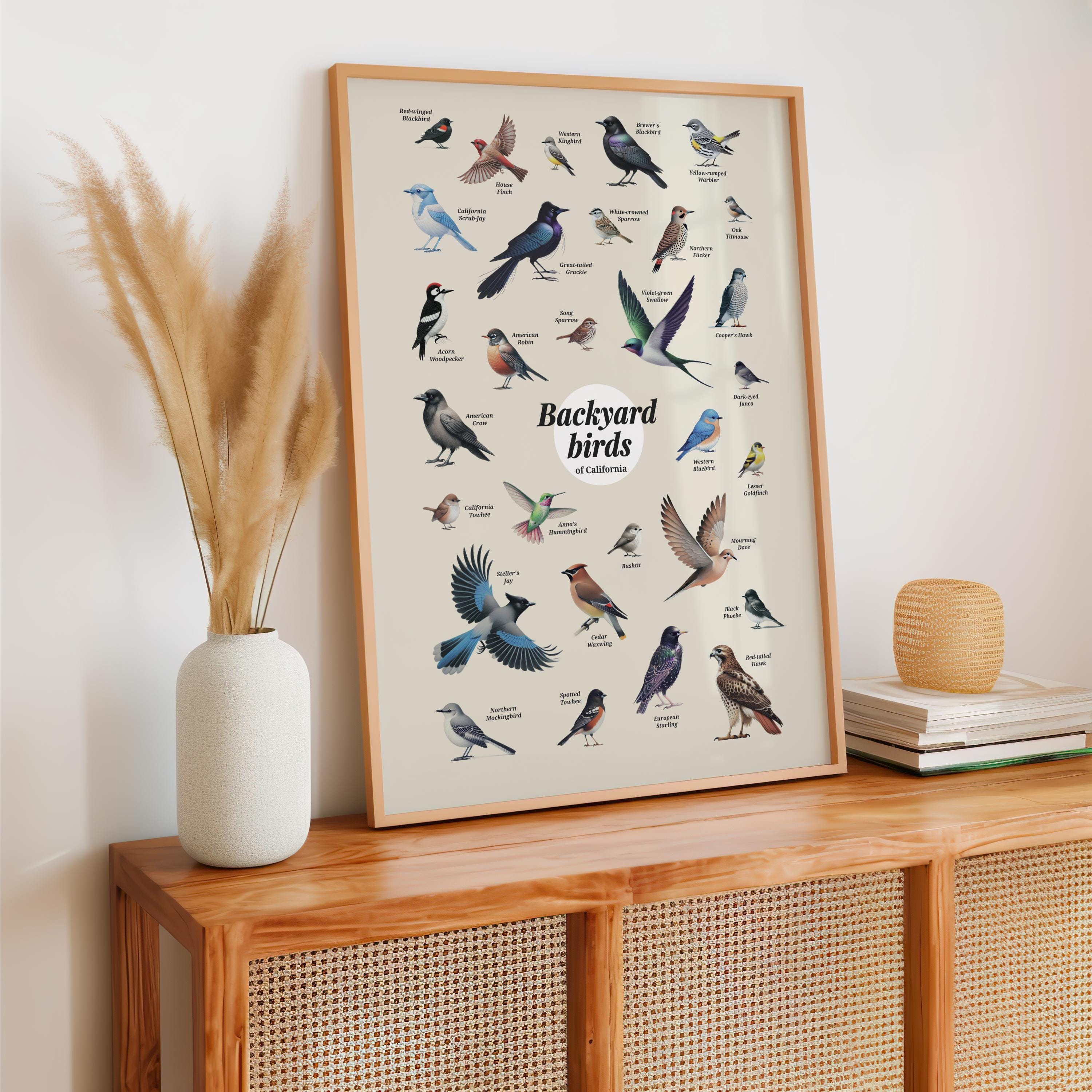 Backyard Birds California Poster Art Print Bird Lover Gift Wall Art ...