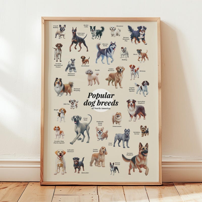 Dog Breeds Poster - Etsy