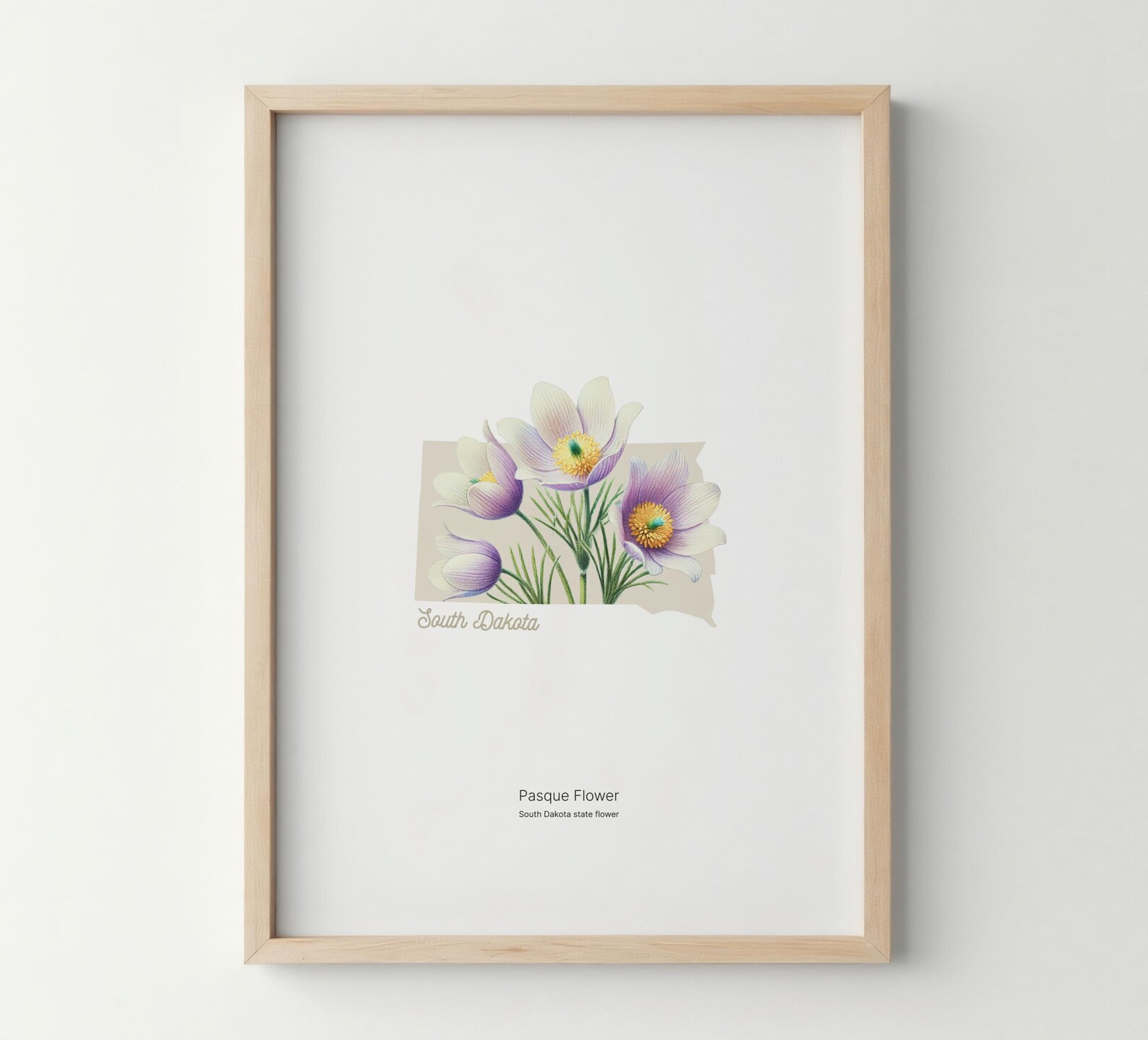 South Dakota Flower Poster Art Print Pasque Flower Wall Art Flower ...