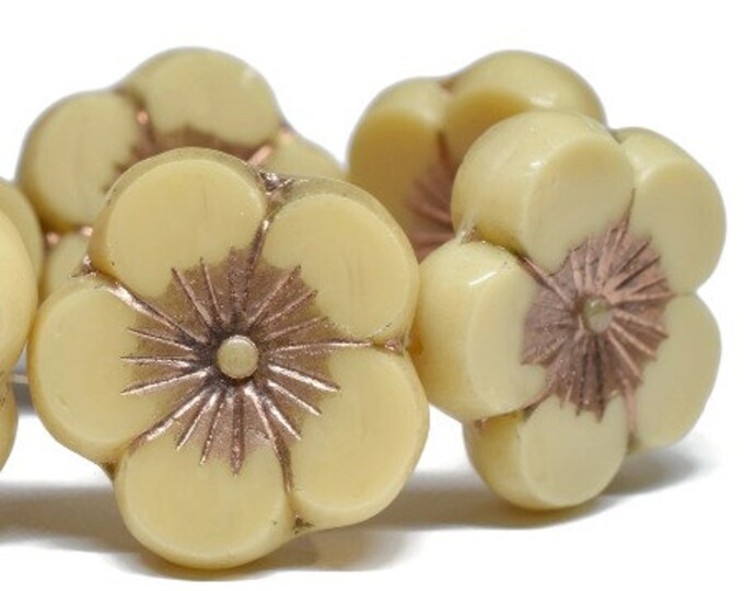 21mm Hibiscus Flower Opaque Beige With Copper Wash, Table Cut Czech ...
