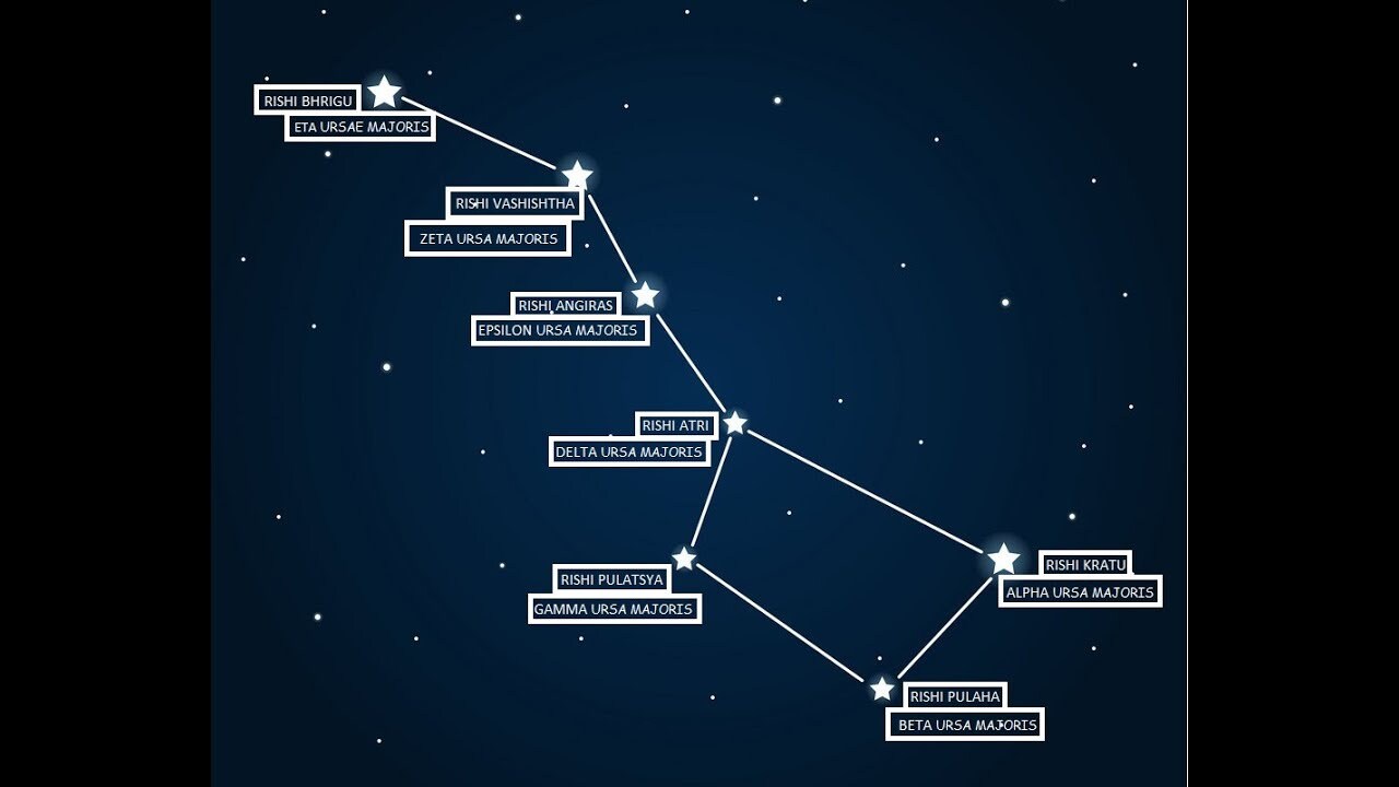 KUSA Sacred Kusha Bareroot Live Plant Desmostachya Bipinnata ...