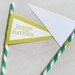 Flag Paper Straws Pennant Straws Banner Style Party Paper Straws ...