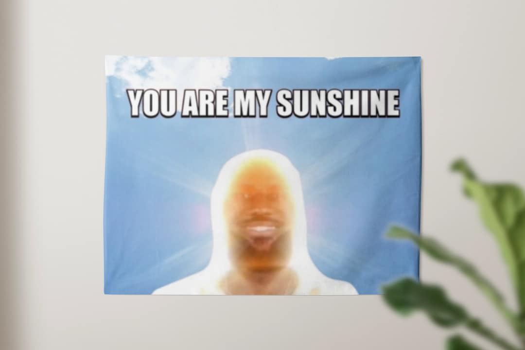 You Are My Sunshine Lebron Meme Tapestry Poster Funny Gift Room Decor ...