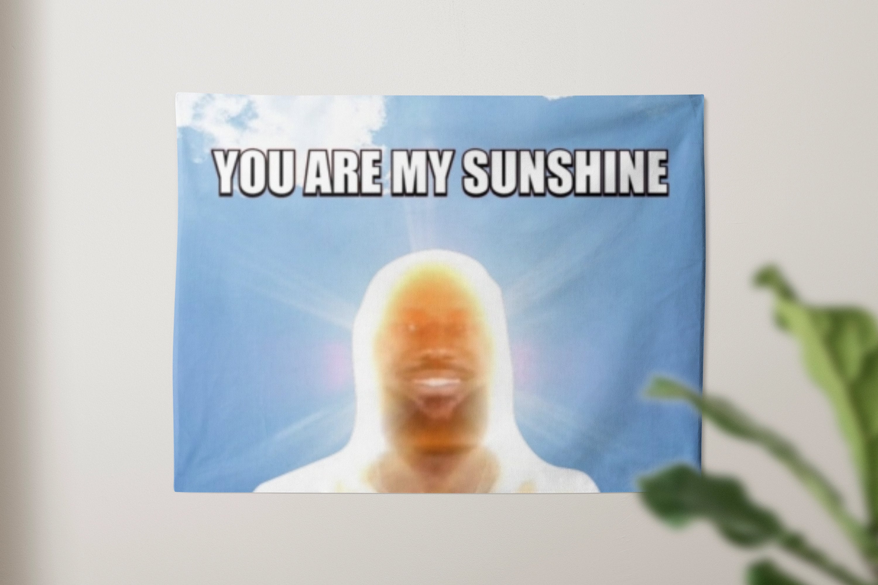 You Are My Sunshine Lebron Meme Tapestry Poster Funny Gift Room Decor ...